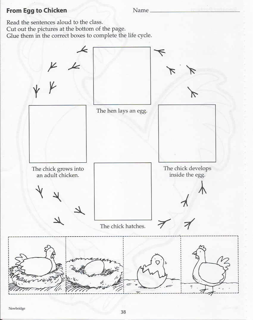 Virtual Field Trip: Animals - Schuster's Farm