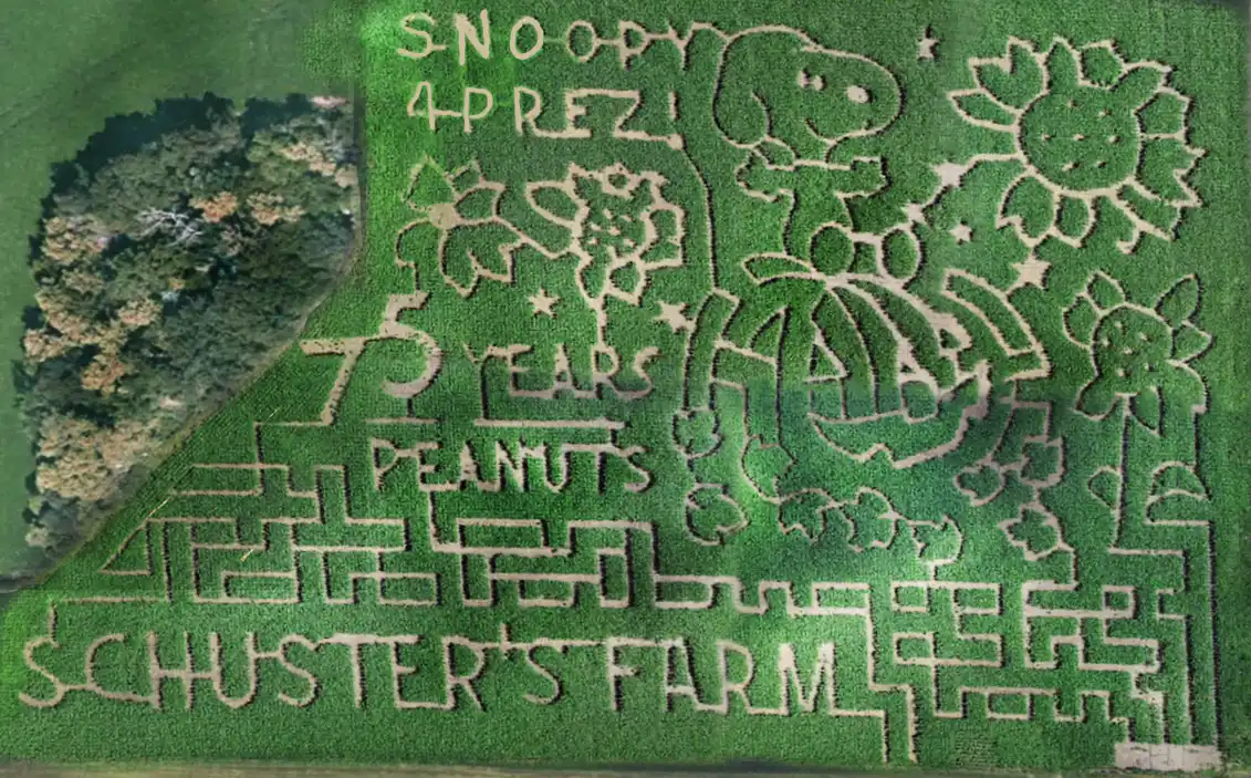 8-acre Corn Maze - Schuster's Farm